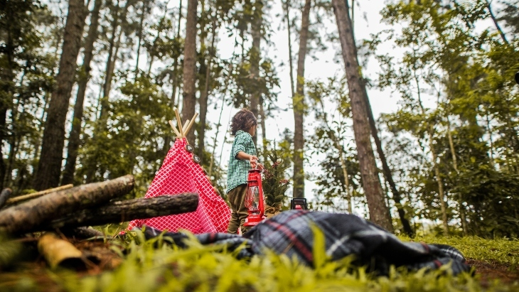 8 survive Camp Tips Everyone Should Know